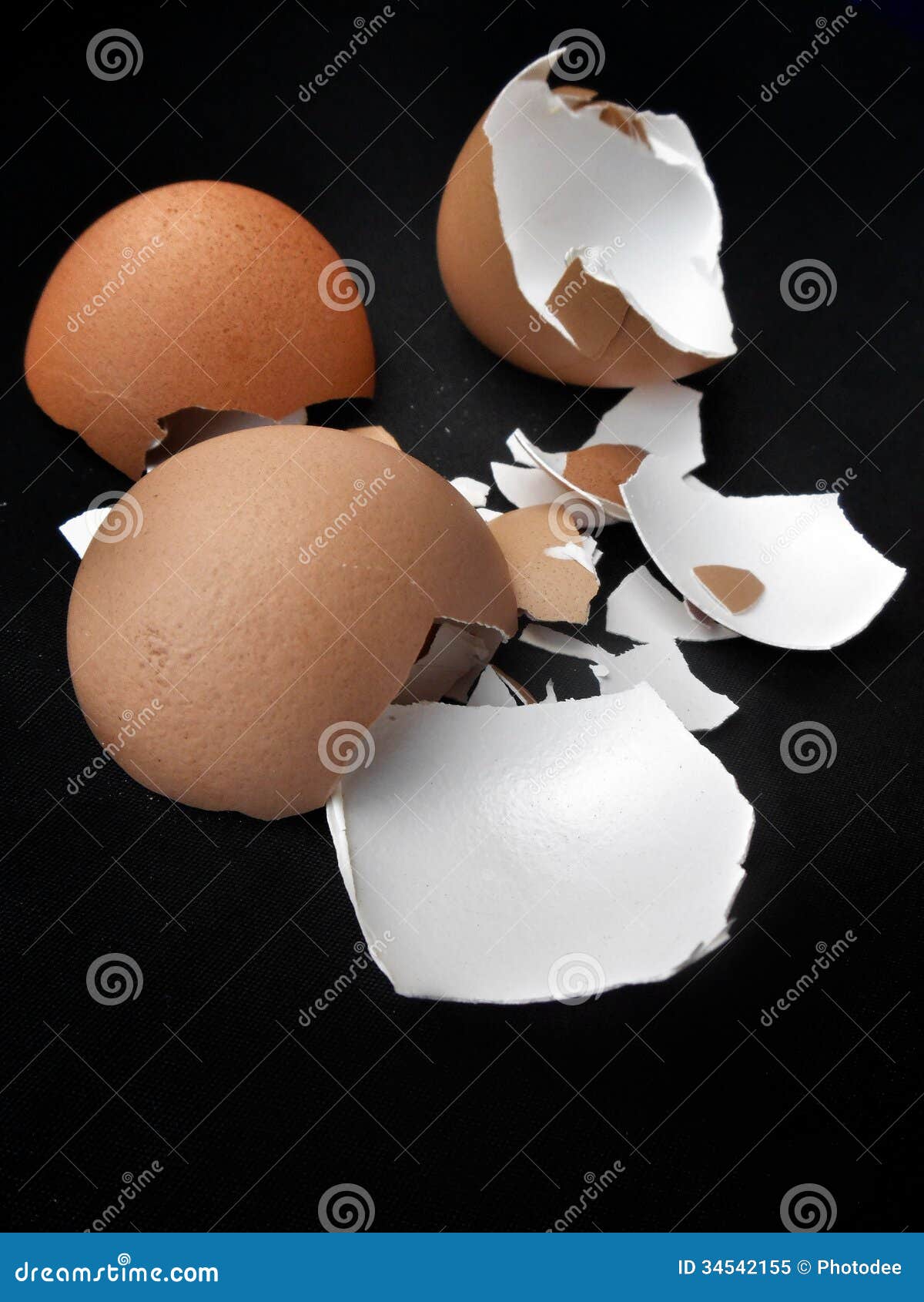 Close-up of egg shells stock image. Image of eggshells - 34542155