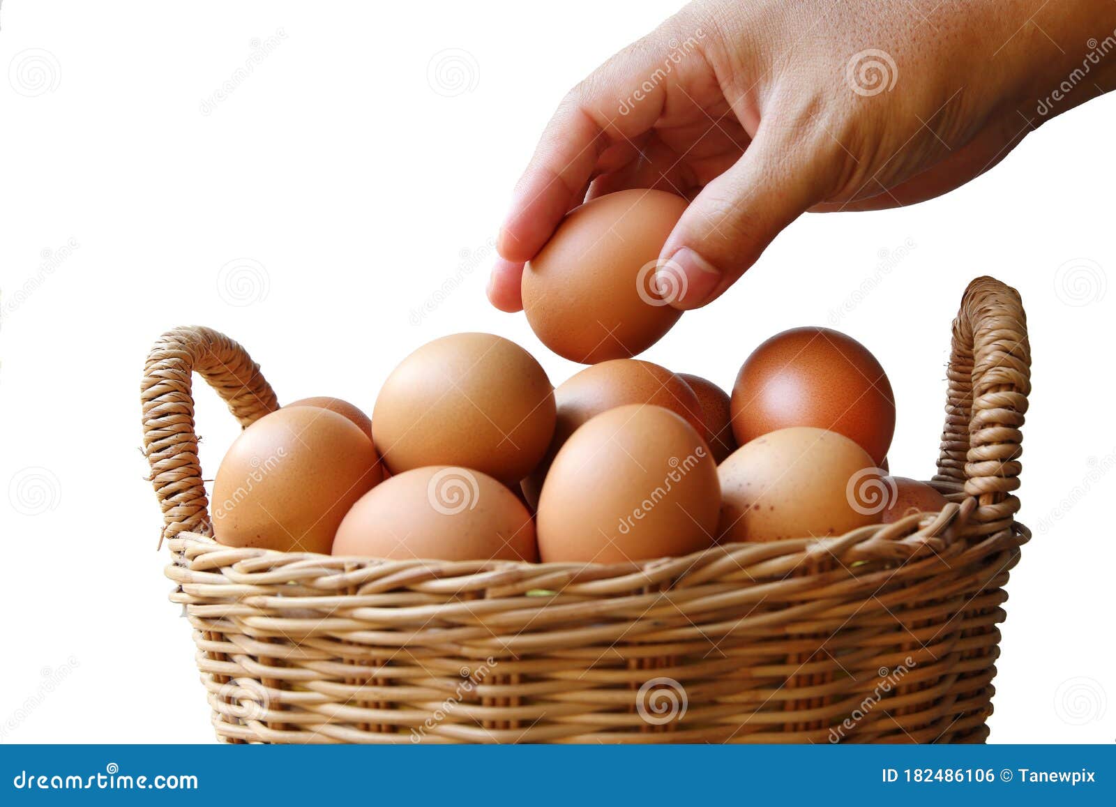 Close Up of Eggs in the Basket with the Hand that Was Picking the Egg ...