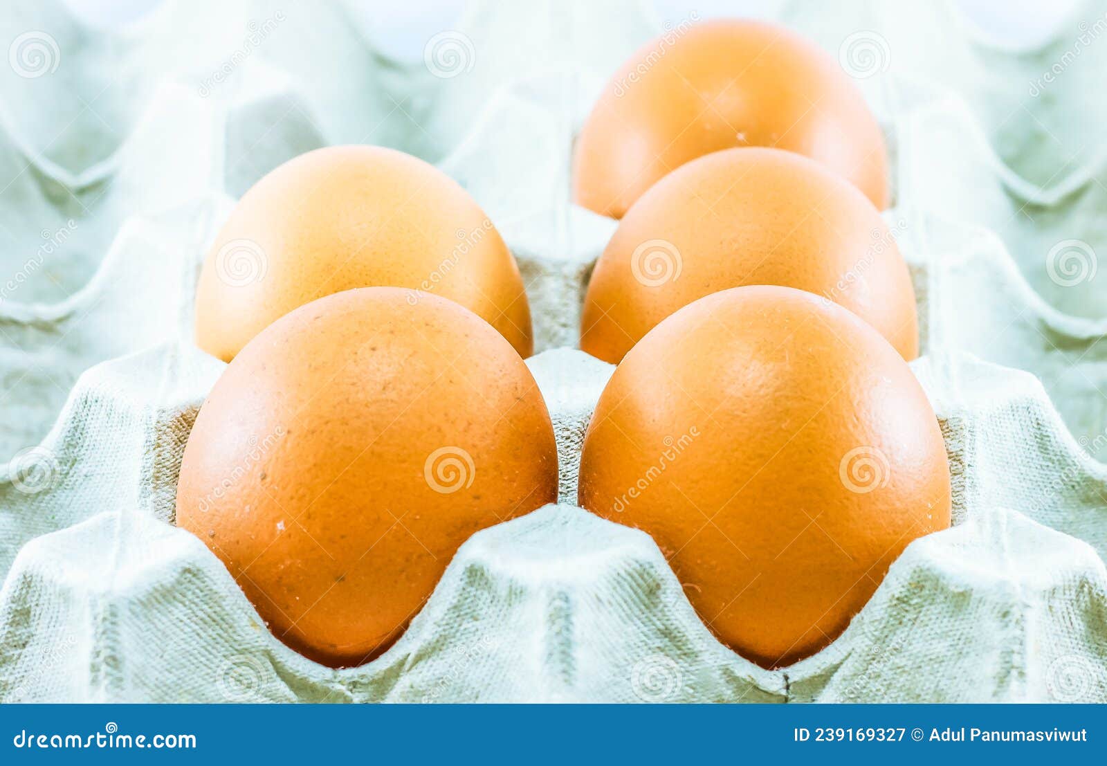 Close Up Eggs in the Package,Egg Shells are Brown Skin,close Up ...