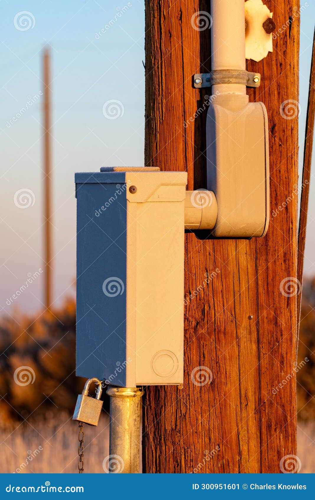 Close Up of an Electrical Box on a Telephone Pole Stock Image - Image ...