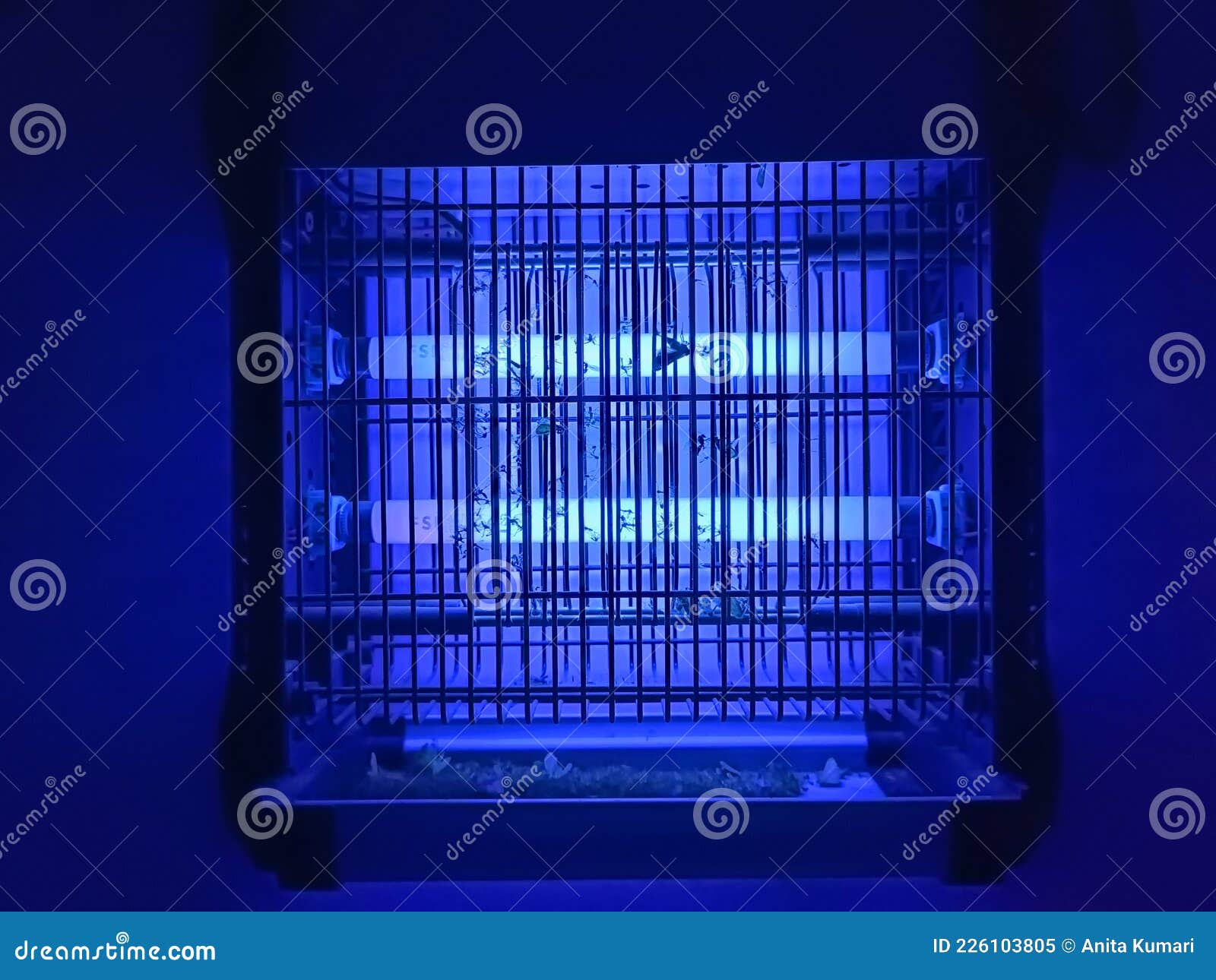 Close Up Electronic Blue Light Insect Killer. Stock Image - Image of ...