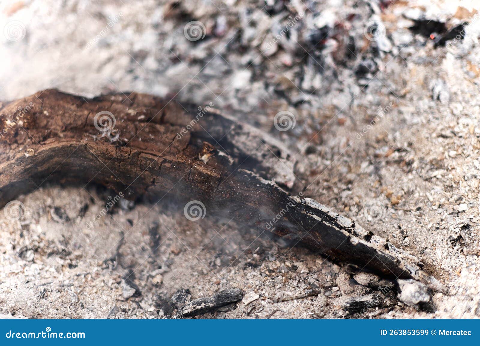 Close-up of the Embers of a Bonfire with Abundant Ash. Stock Image ...