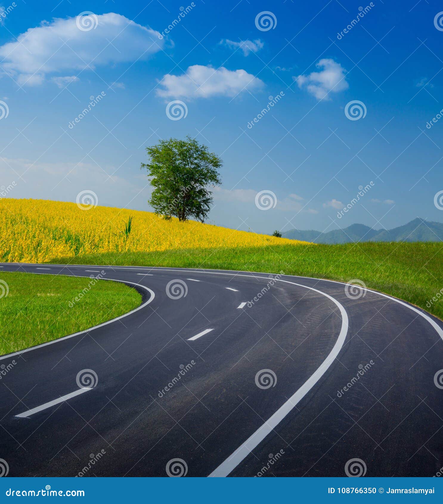 Empty S-curved Path Along The Public Skyline. Background Of Urban ...