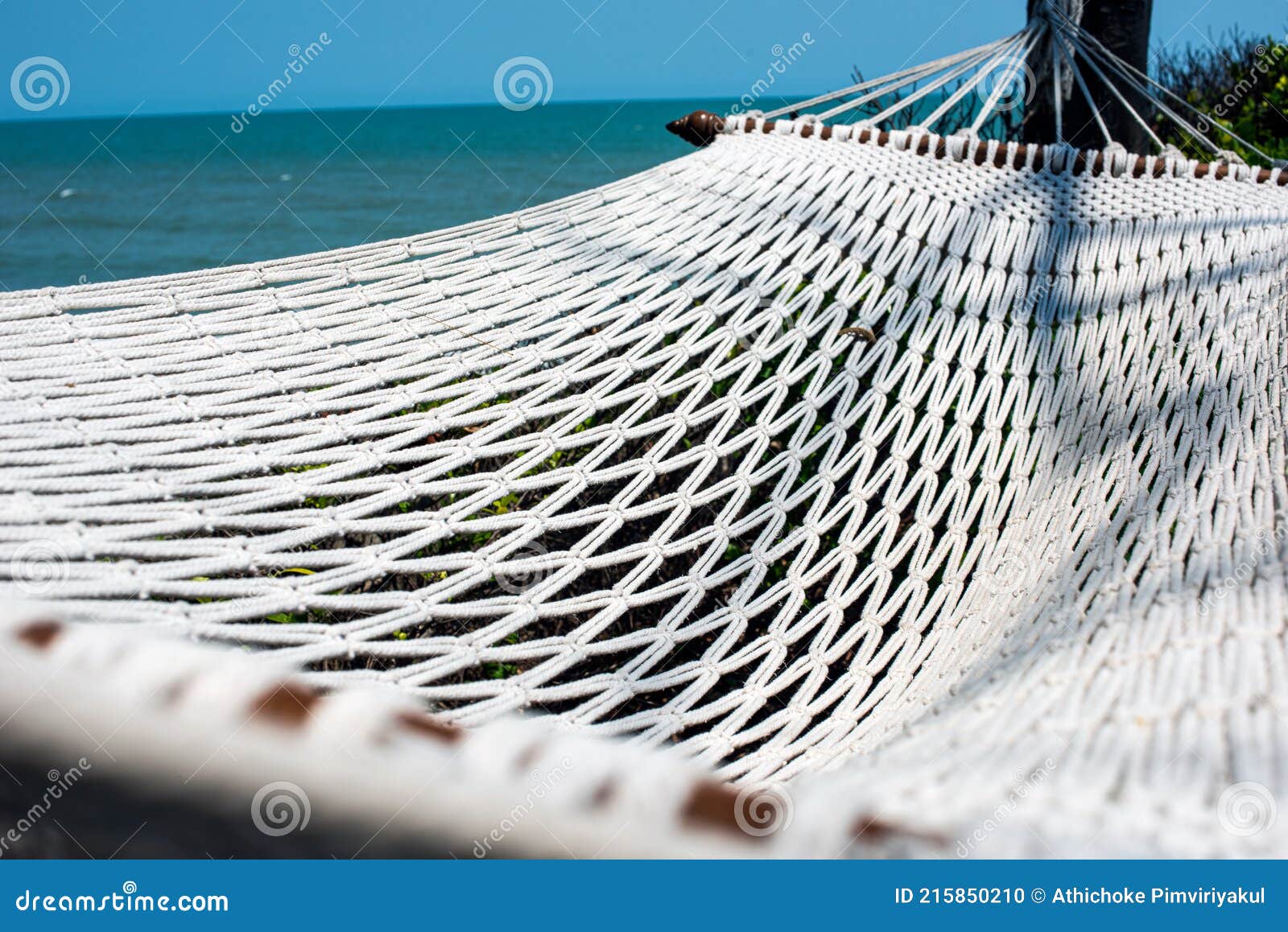Close Up of an Empty White Rope Hammock Hanging with Trees in a Shadow ...
