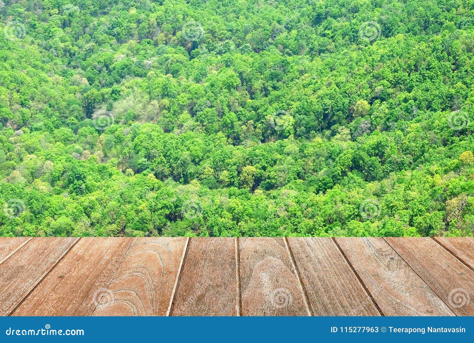 Empty Wooden Board with Forest Background. Stock Image - Image of green ...
