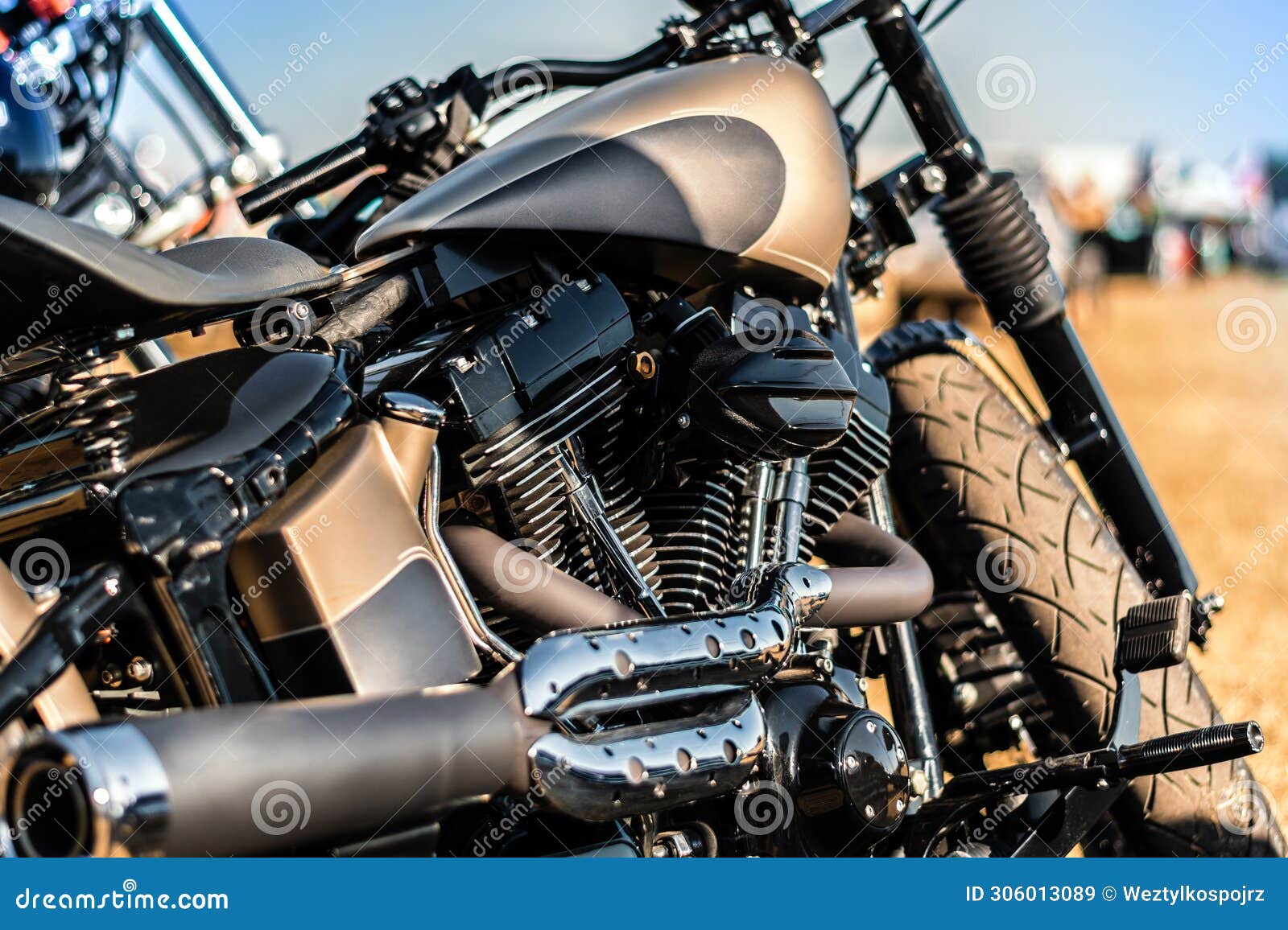 Close-up of the Engine of a Custom Chopper Motorcycle. Stock Image ...
