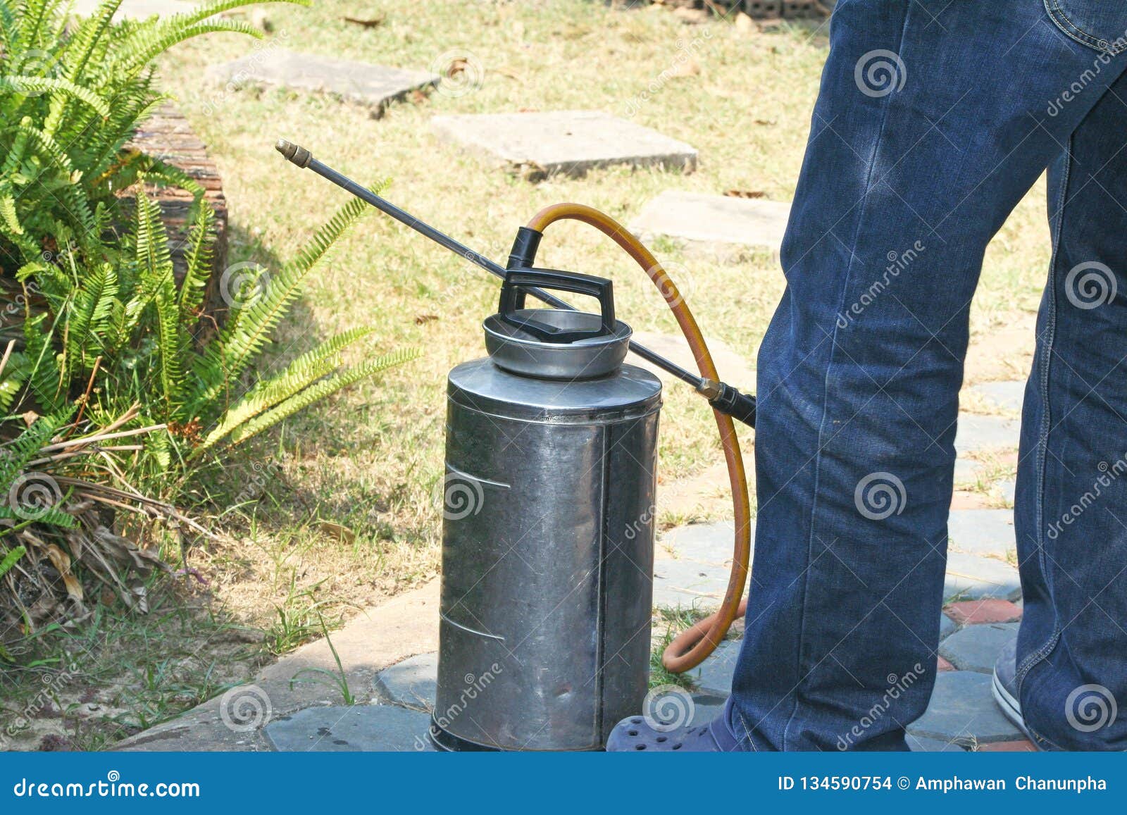 Equipment for Inject Eliminates Termites Stock Photo - Image of hole ...