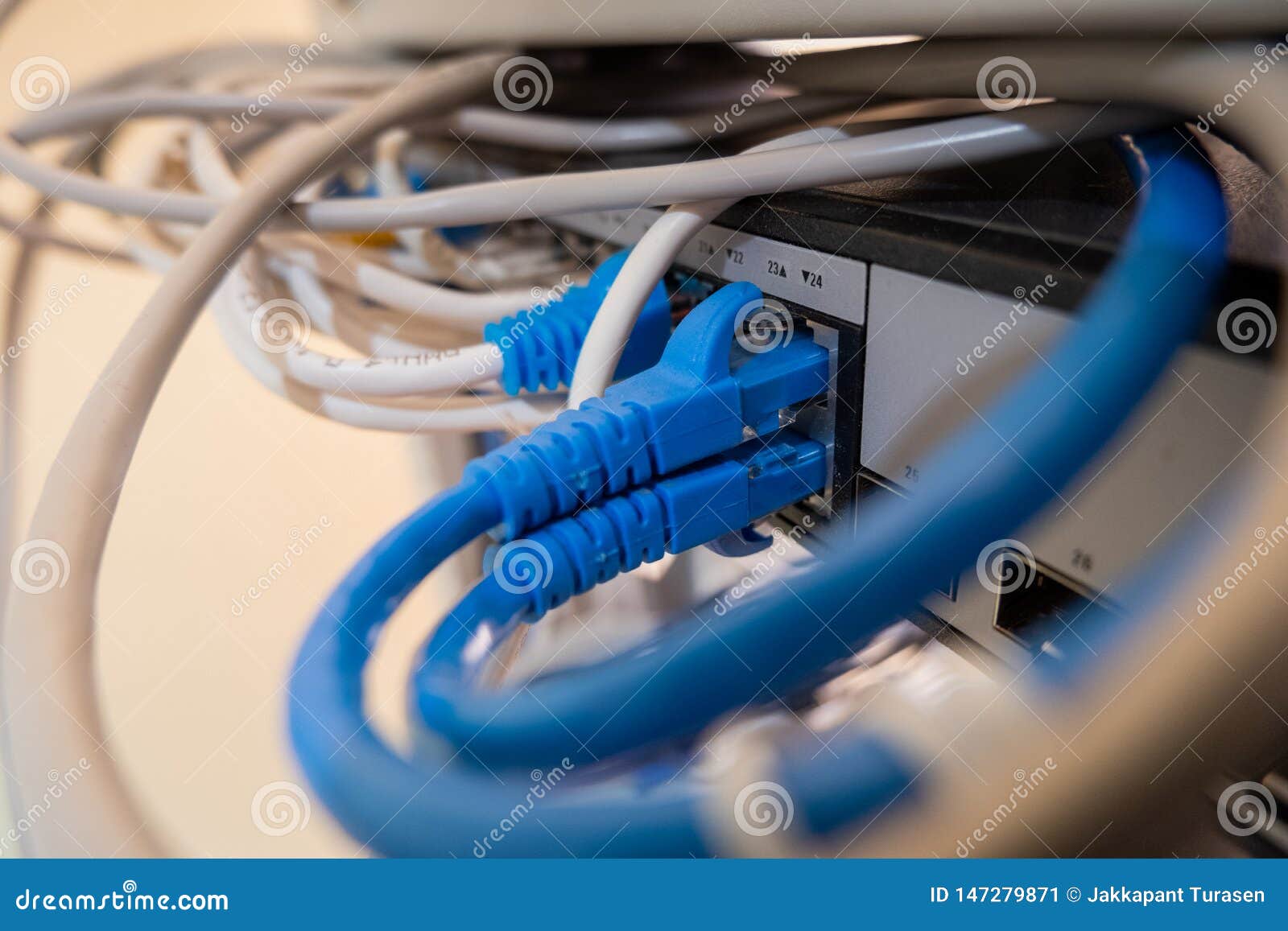 Close-up of Ethernet Cable Pluged on Network Switch, UTP Cabling and ...
