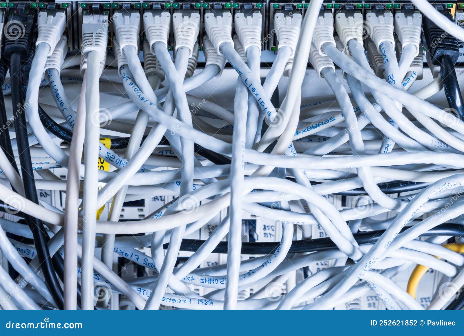 Close-up of Ethernet Cables and Switch Stock Photo - Image of digital ...