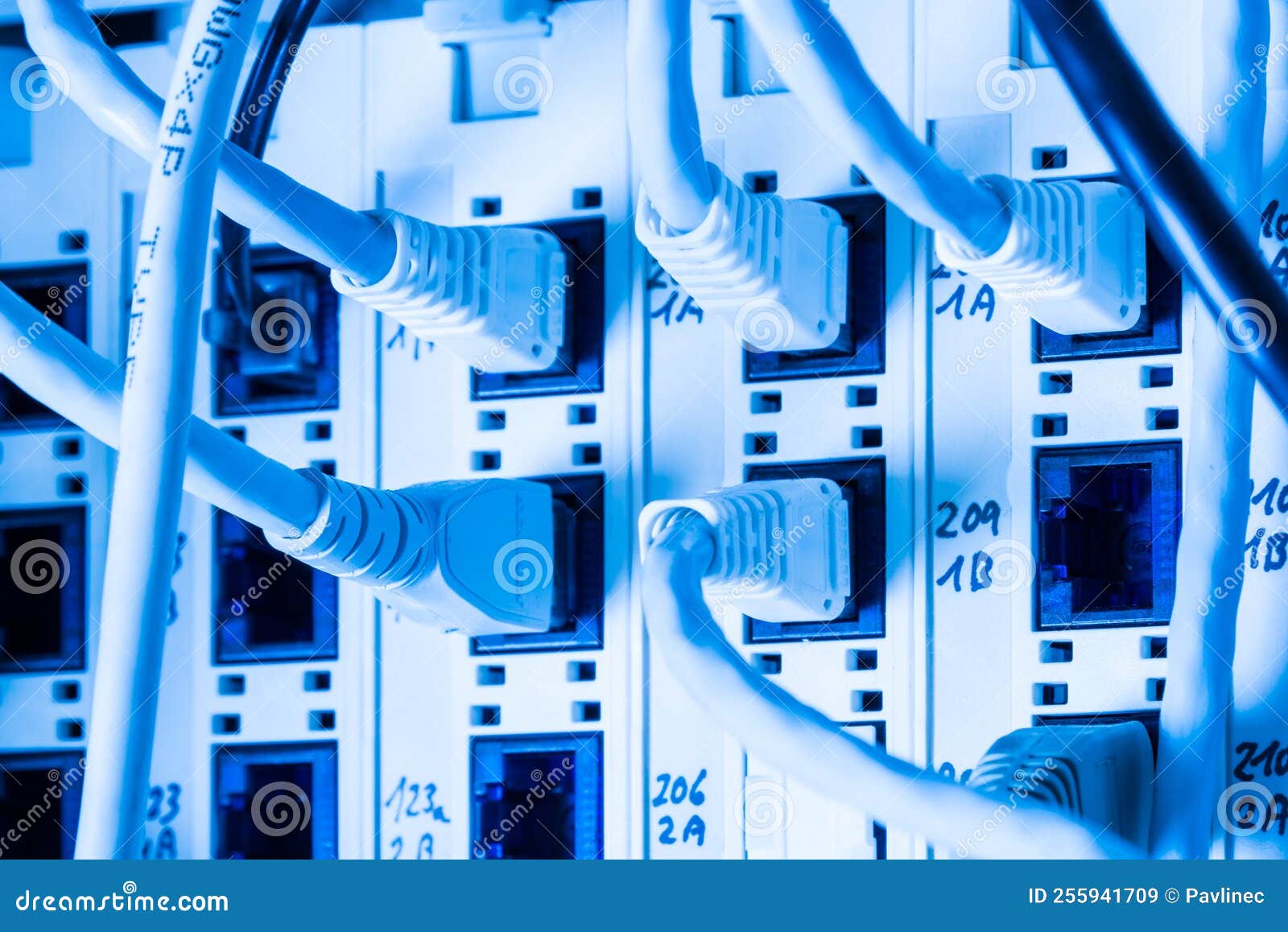 Close-up of Ethernet Cables and Switch Stock Image - Image of ...
