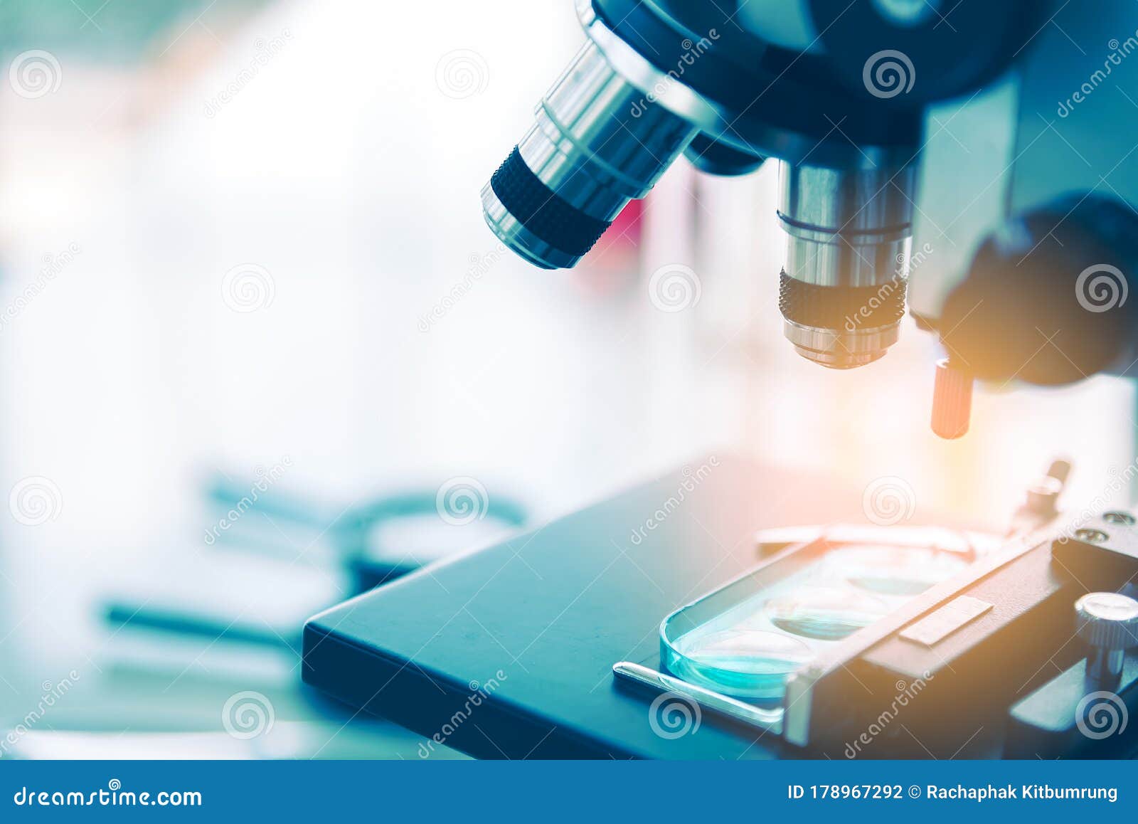 Close Up of Examining of Test Sample Under the Microscope in Laboratory ...