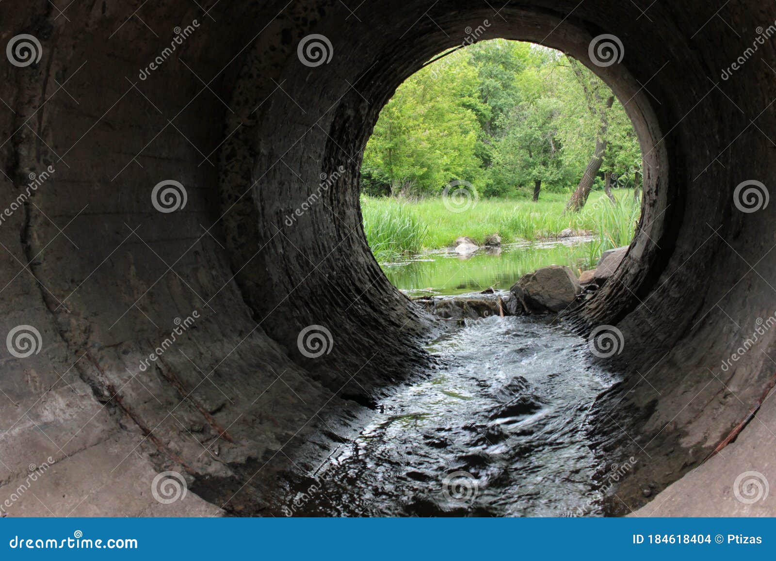 Exit from the Concrete Drainage Tunnel Pipe with a View To the Forest ...