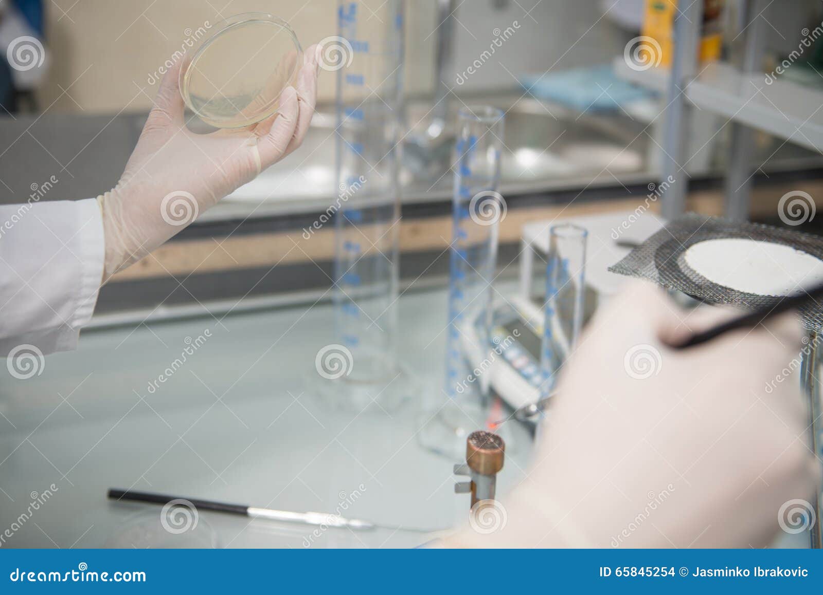 Close-Up of Experimenting in a Laboratory Stock Photo - Image of close ...