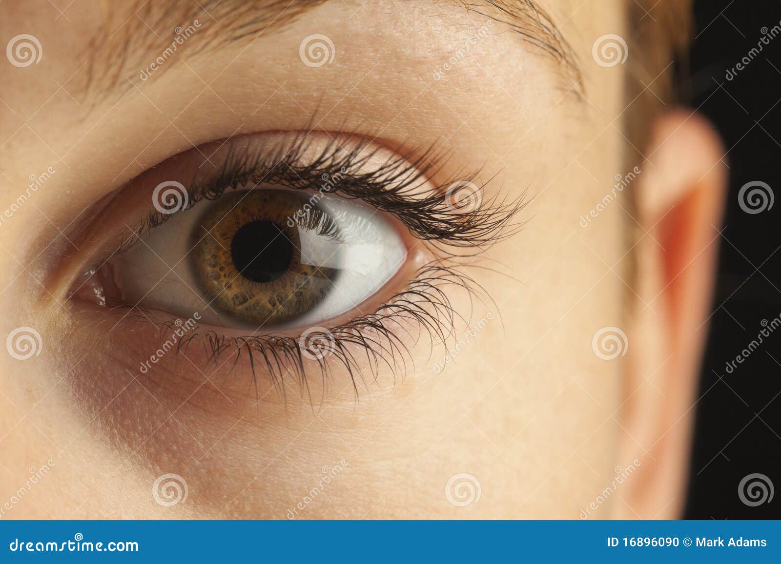 Close-up of eye stock photo. Image of vision, pretty - 16896090