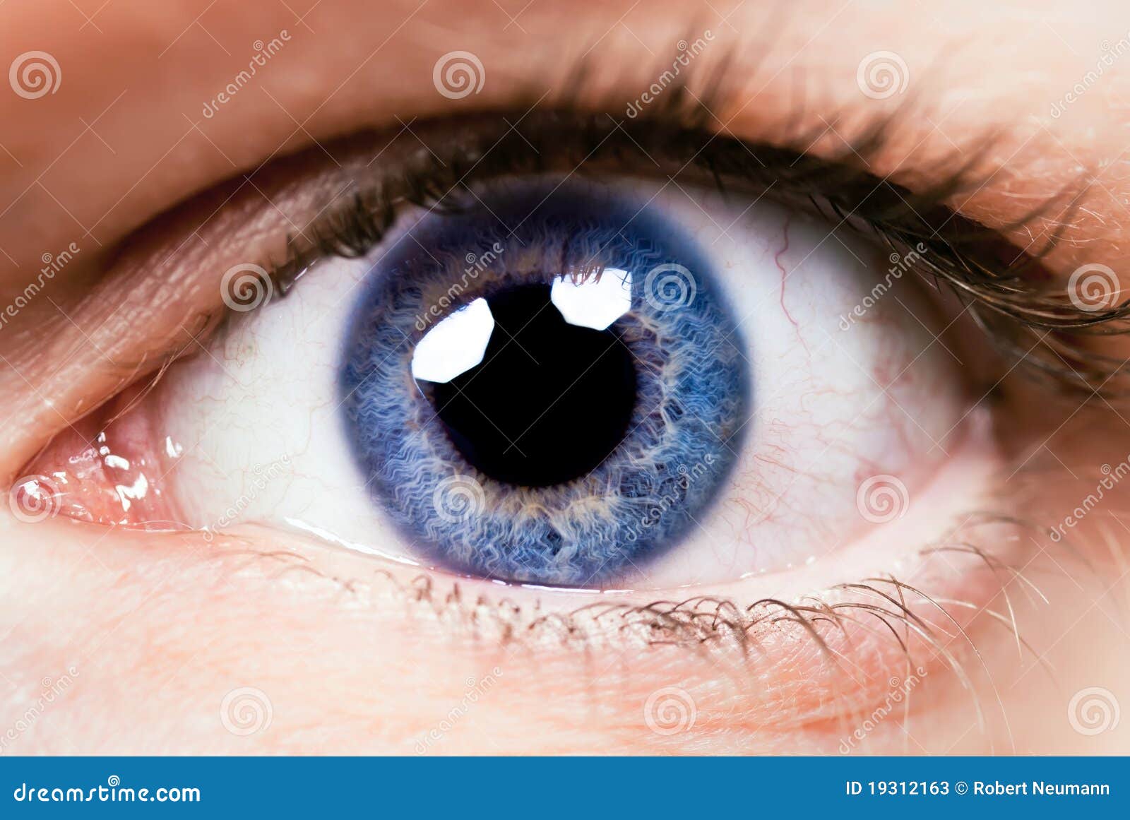 Close-up eye stock image. Image of contrast, beauty, close - 19312163