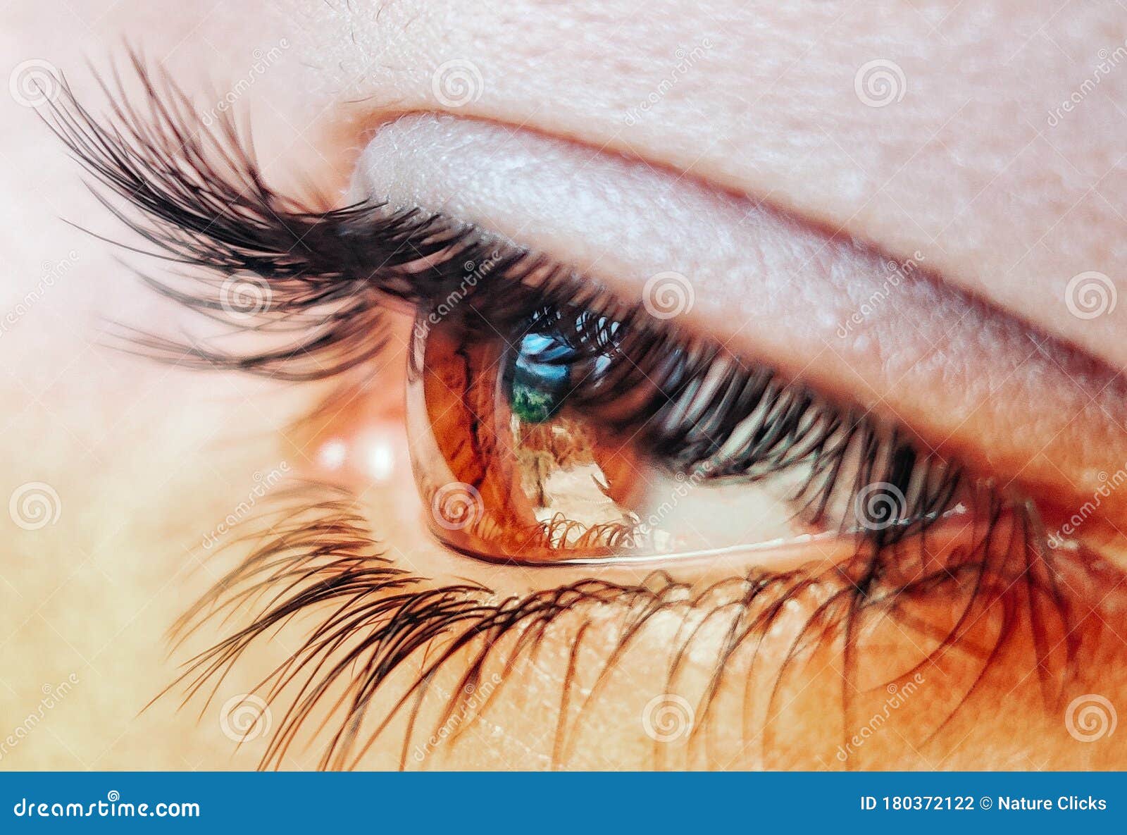 Close Up of Eye with Details Stock Photo - Image of young, face: 180372122