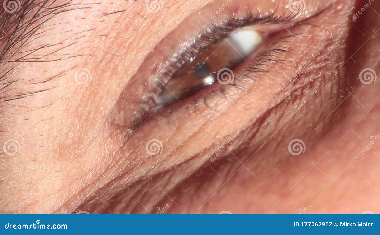 Close Up of an Eye Eyelid that Opens and Closes with the Pupil of the ...