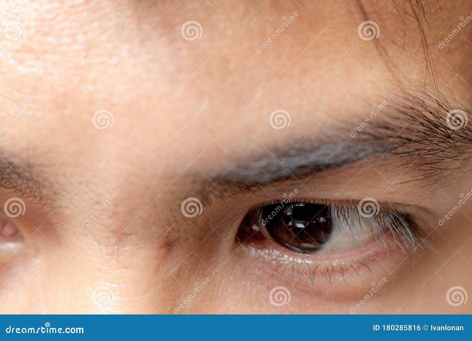 The Eye of a Focus Man at Working Stock Photo - Image of eyelash ...