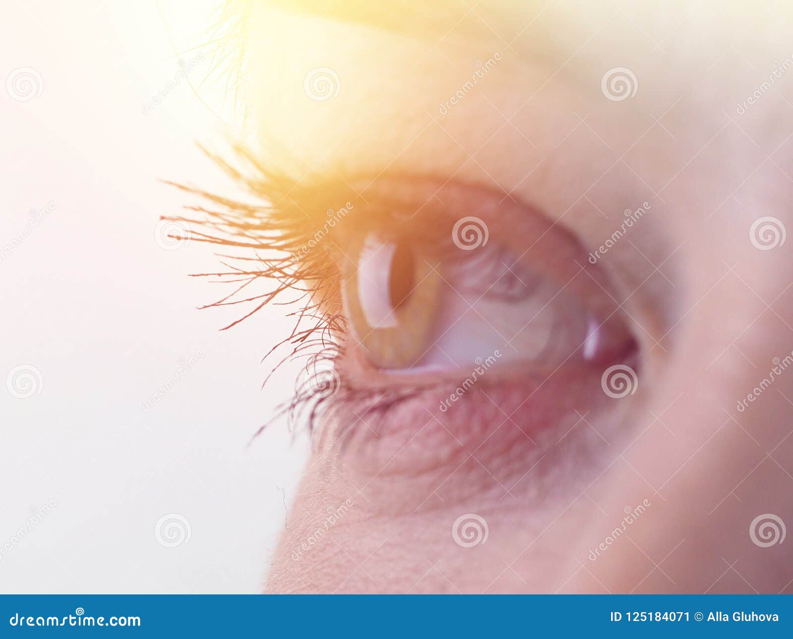 Close-up of Eye, the Human Eye Sideways Stock Image - Image of eyebrows ...
