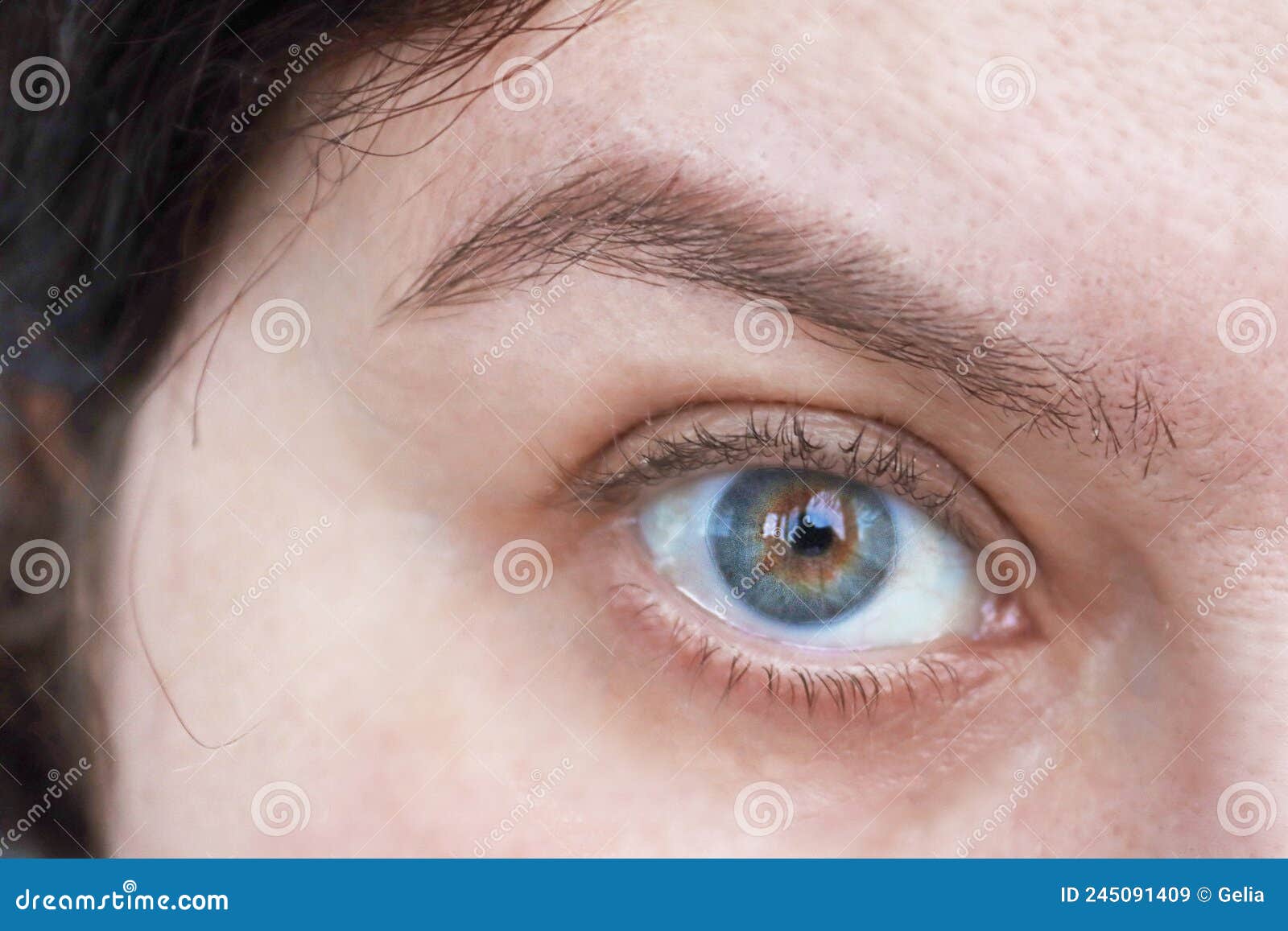 Close-up of the Eye. Surprised Look, Raised Eyebrow Stock Image - Image ...