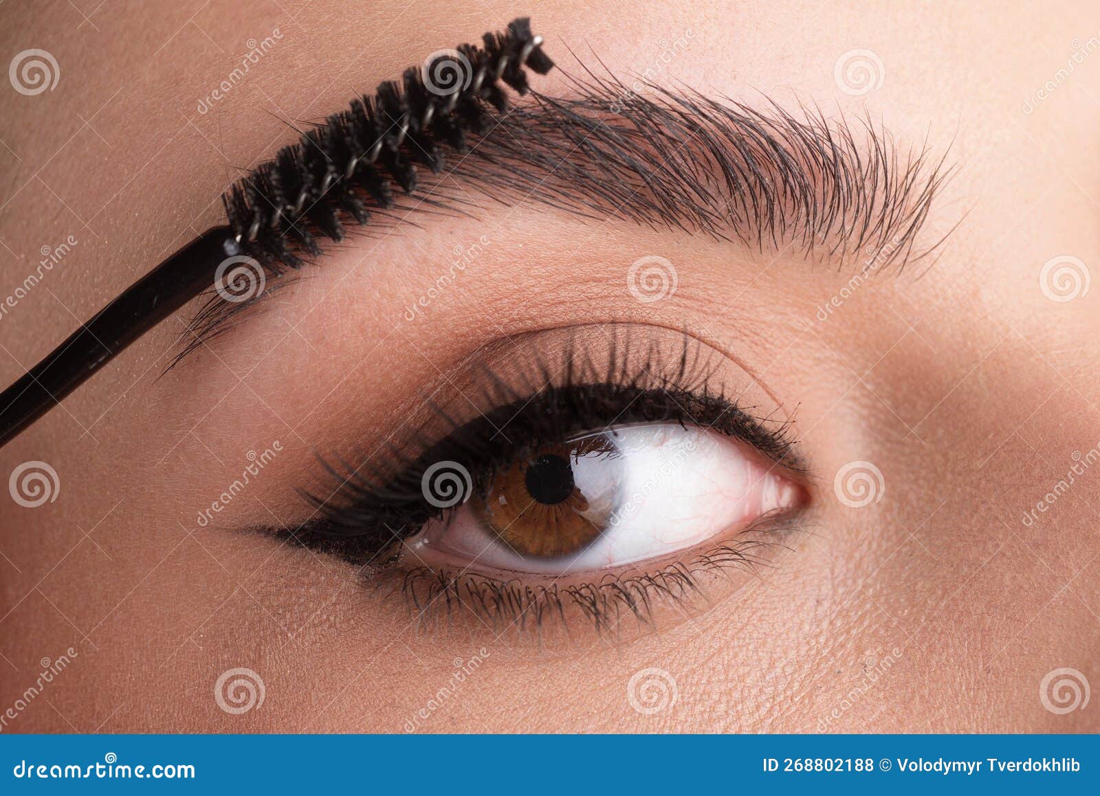 Close Up Eyebrows with Eyebrow Brush. Care for Brows, Eyebrows ...