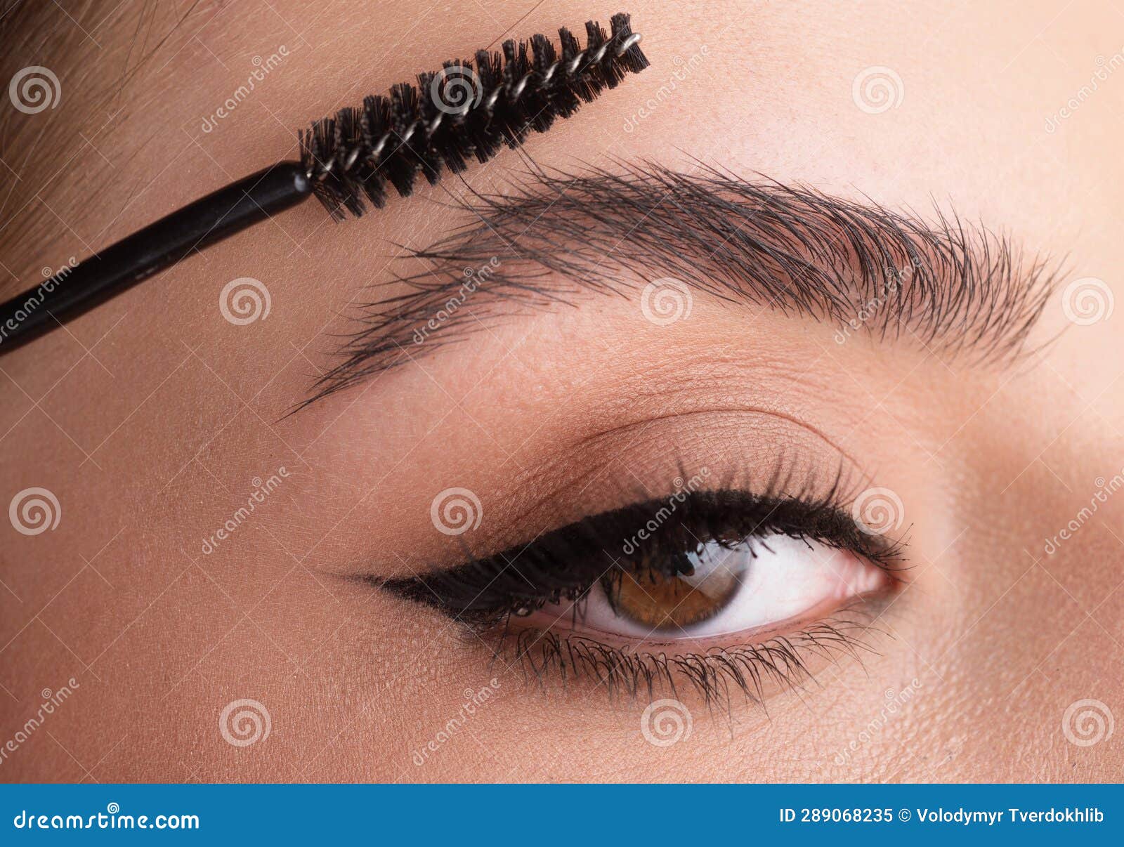 Close Up Eyebrows with Eyebrow Brush. Care for Brows, Eyebrows ...