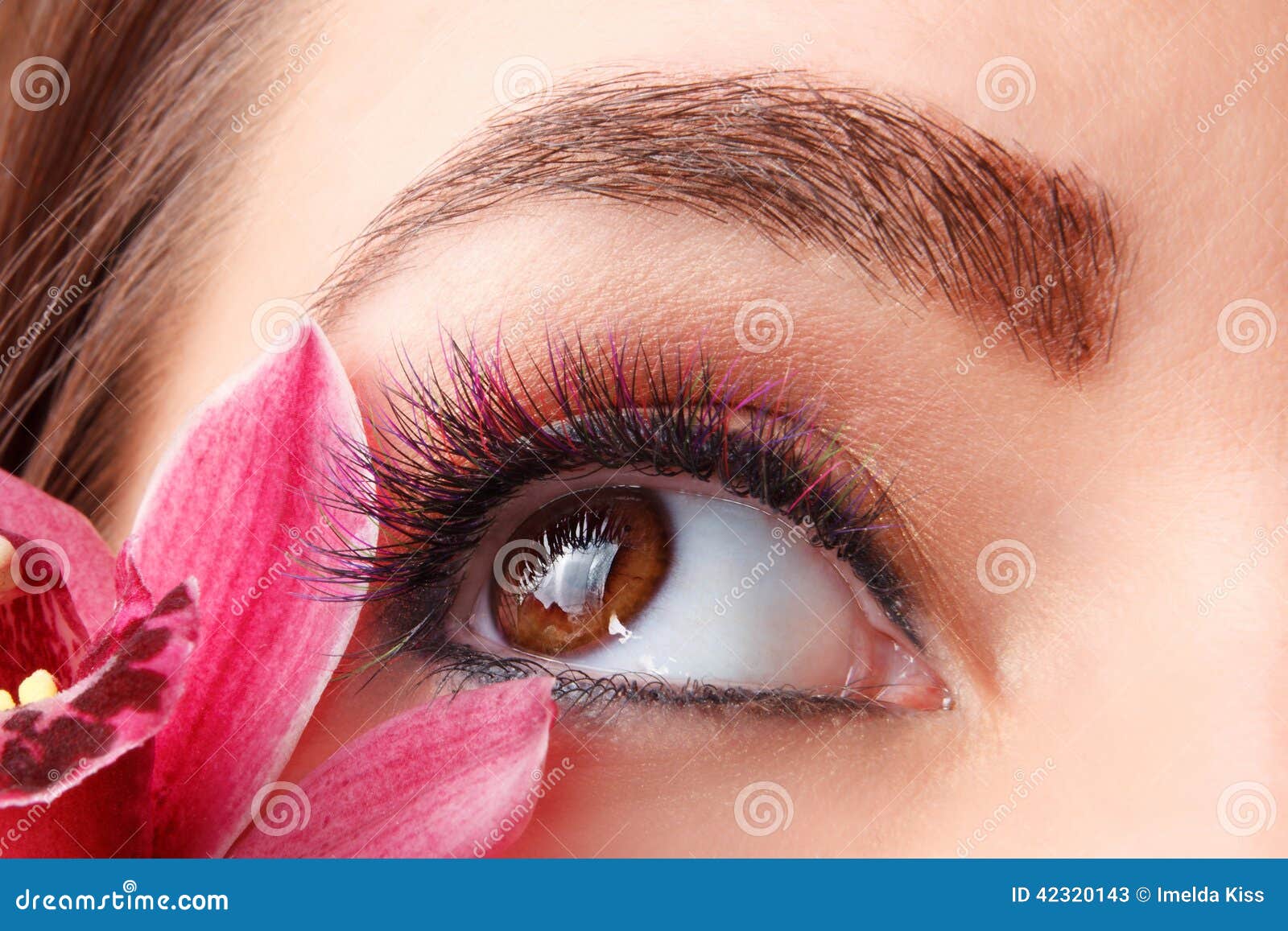 Close Up of Eyelash Extensions Stock Image - Image of cosmetic ...