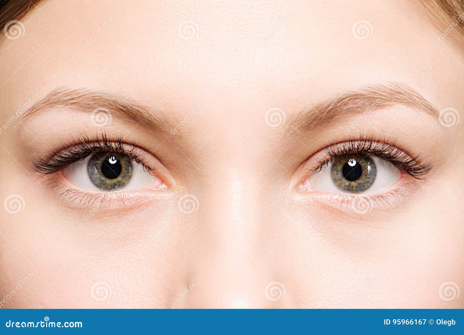 Eyes of Beautiful Young Girl Stock Image - Image of caucasian ...