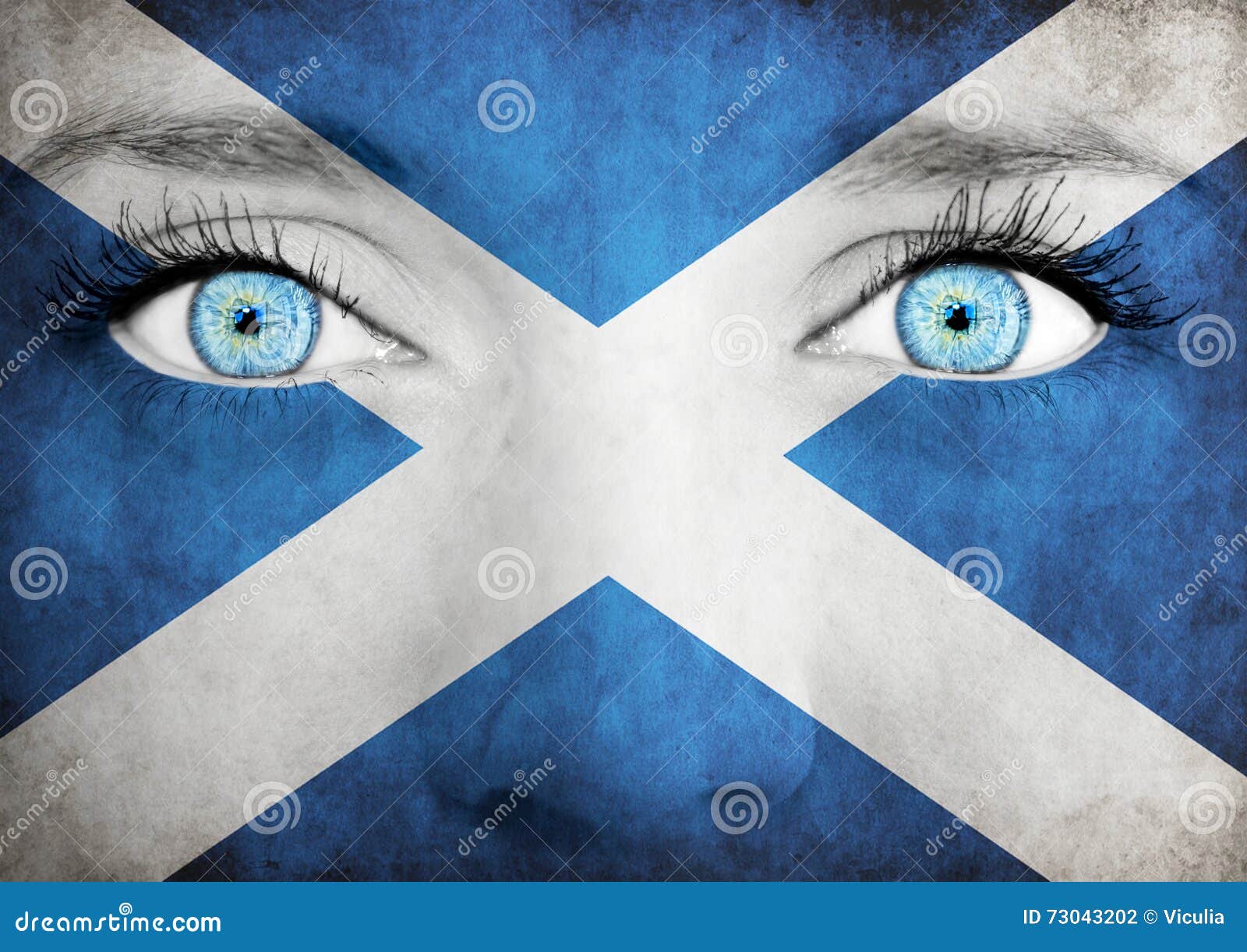 Close Up of Eyes. Painted Face with Flag of Scotland Stock Photo ...