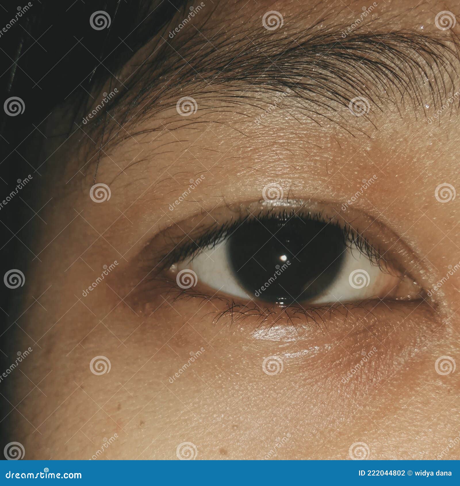 Close up eyes point view stock photo. Image of close - 222044802