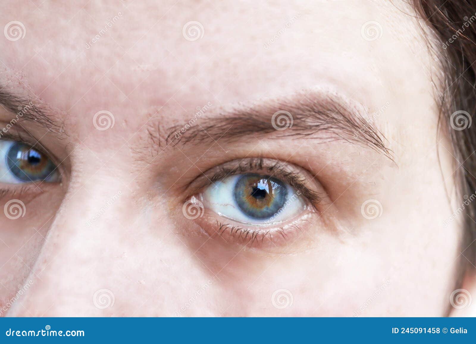 Close-up of the Eyes. Surprised Look, Raised Eyebrow Stock Photo ...