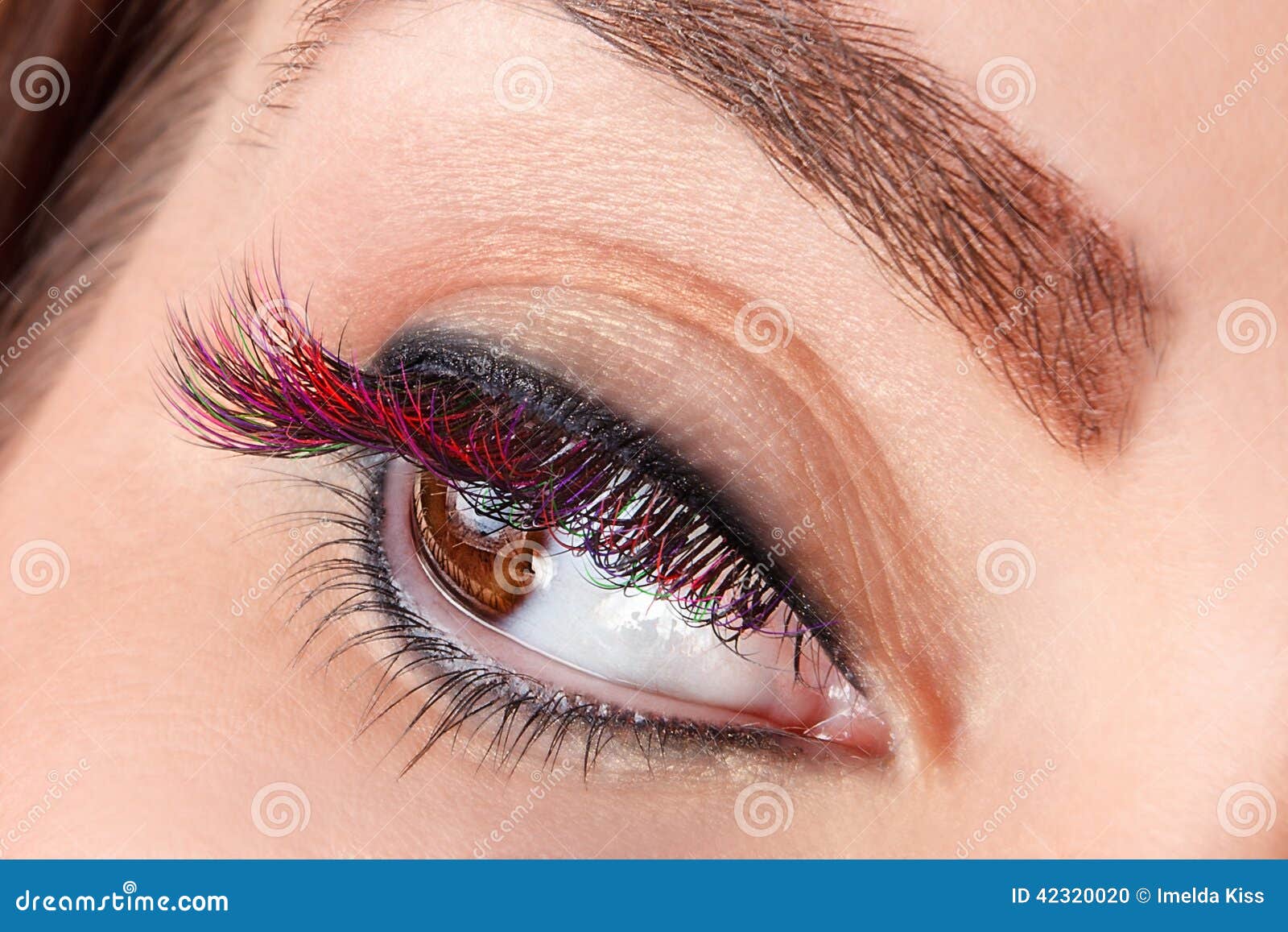 Close-up of False Eyelashes Stock Photo - Image of care, closeup: 42320020