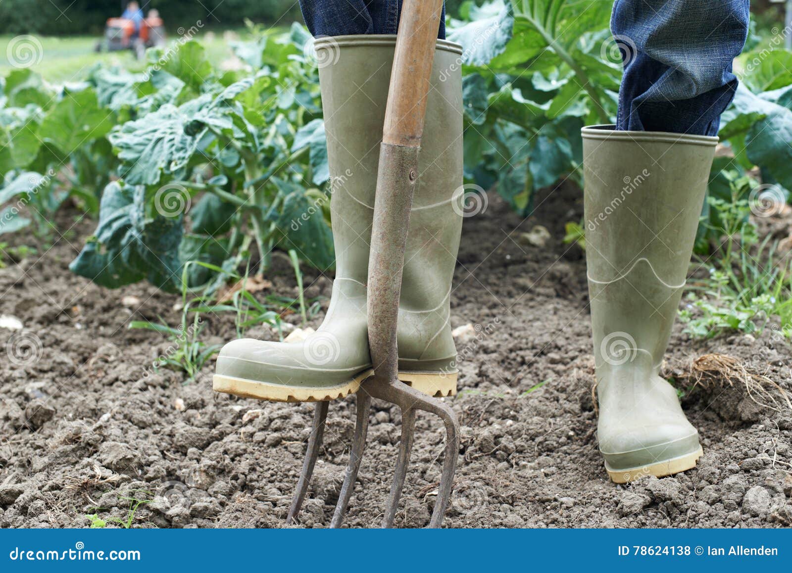 Close Up of Farmer Working in Organic Farm Field Stock Photo - Image of ...