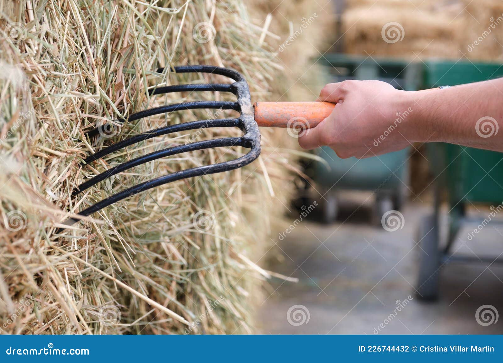 Close Up of a Farmers Hand Using a Fork To Load the Wheelbarrow with ...