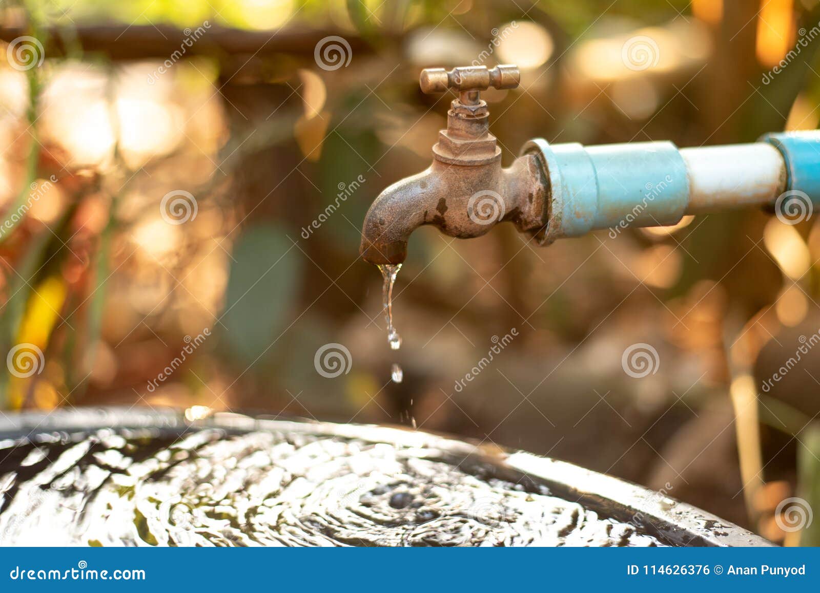 Close Up Faucet and Water Drops Fall Stock Photo - Image of garden ...