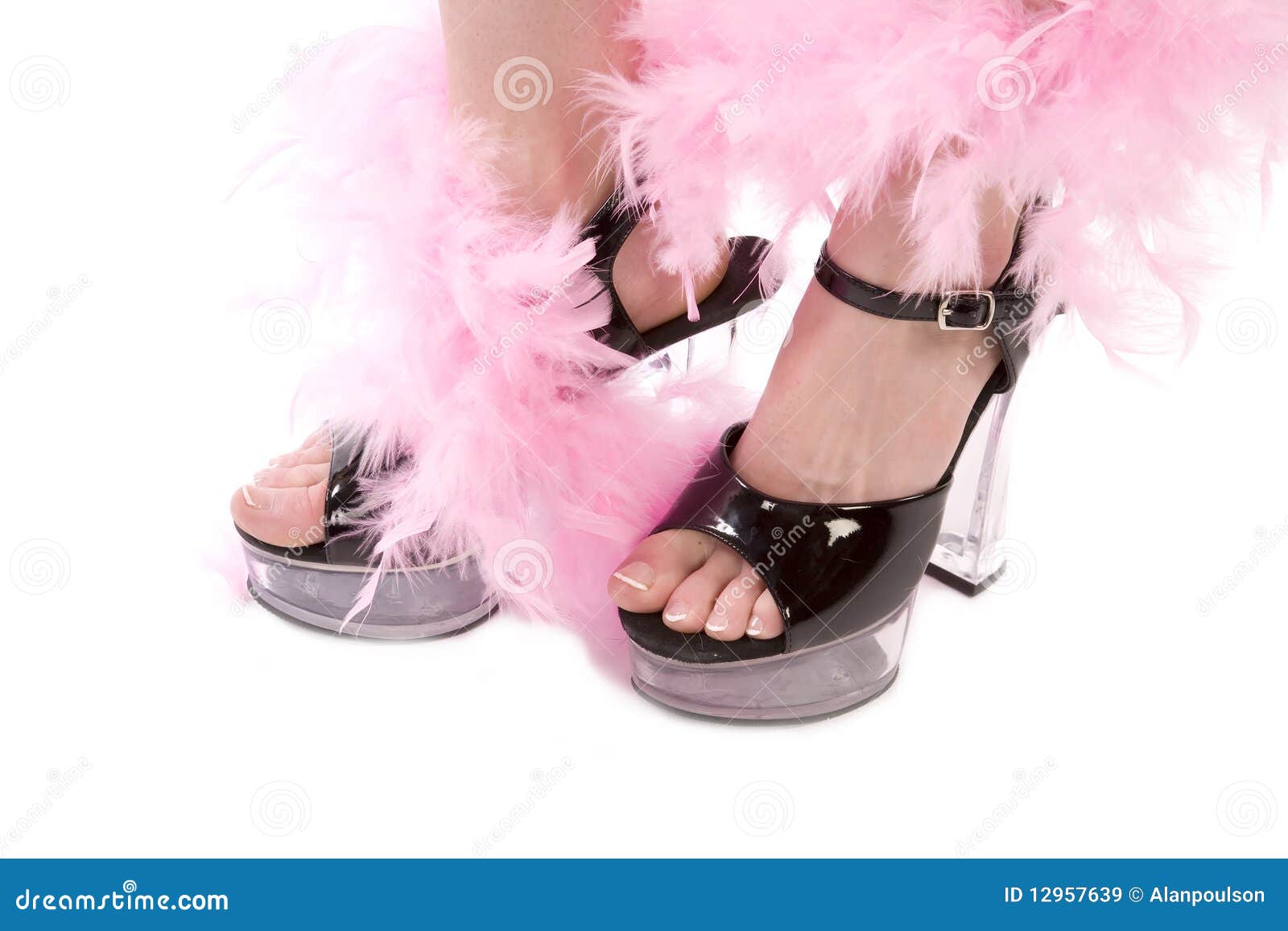 Close up feather shoe stock image. Image of gear, feminine - 12957639