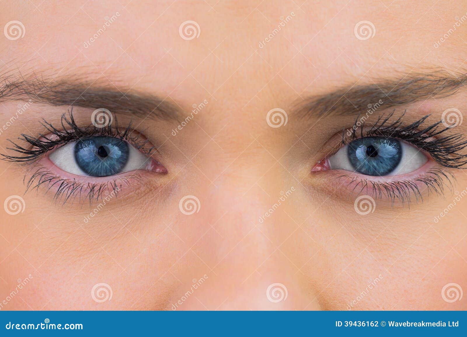 Close Up of Female Blue Eyes Stock Photo - Image of natural, perfect ...