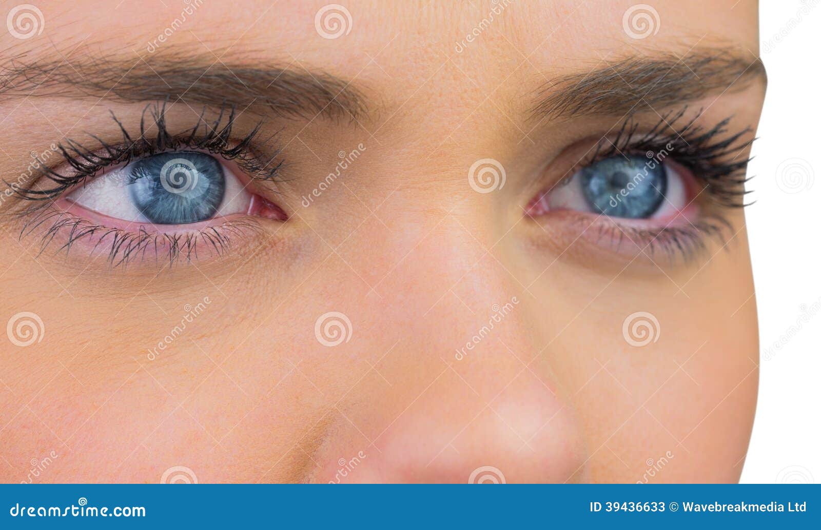 Close Up of Female Blue Eyes Stock Image - Image of white, eyes: 39436633