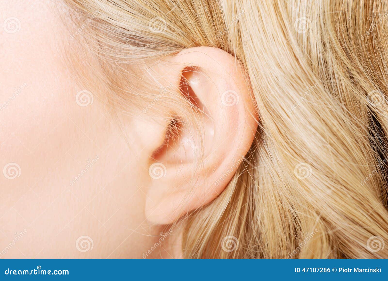 Close up on female ear stock photo. Image of female, skin - 47107286