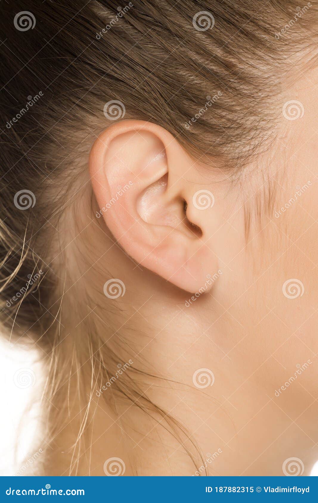 Close up of female ear stock image. Image of healthy - 187882315