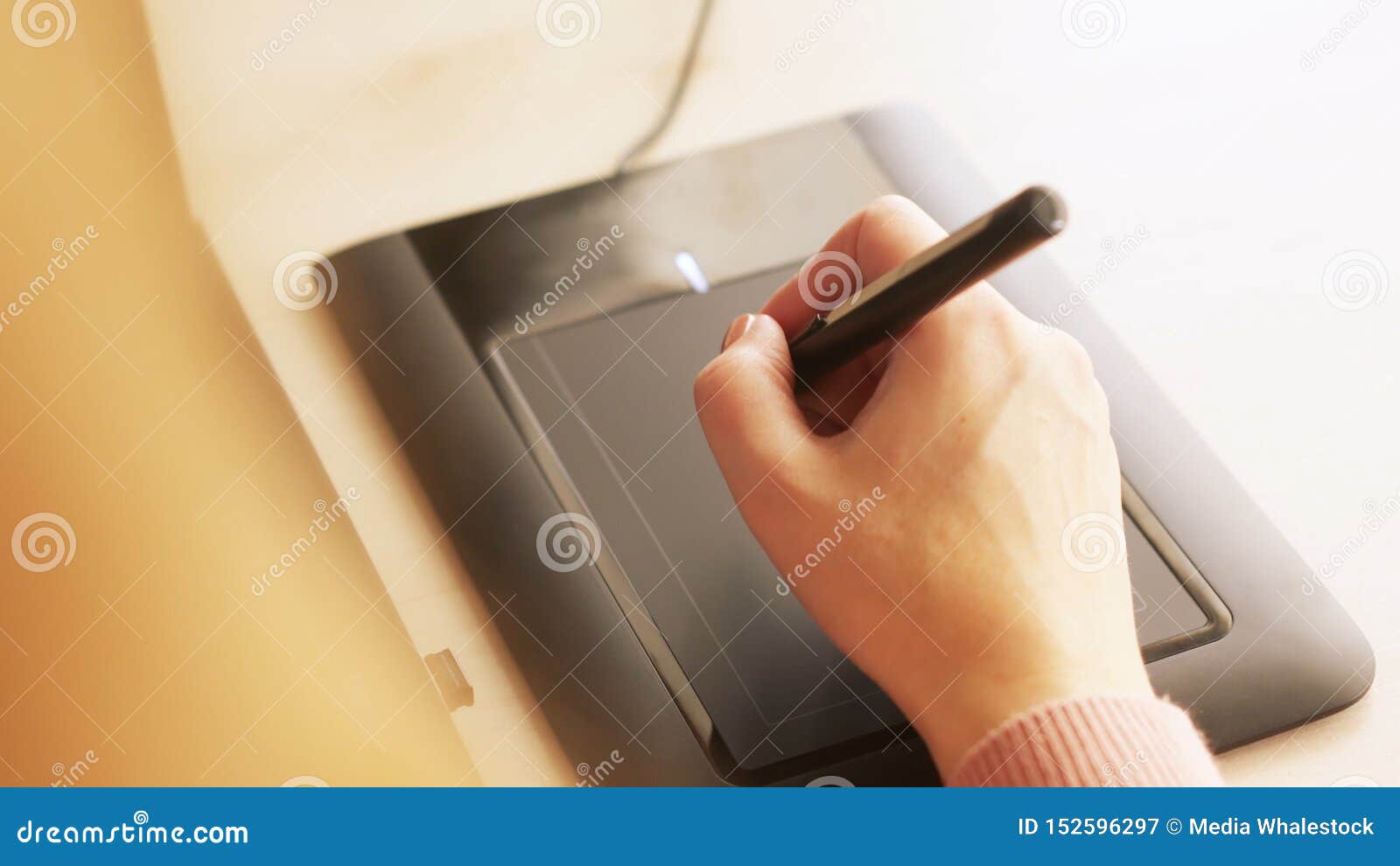 Close-up of Female Graphic Designer`s Hand Using Interactive Pen ...