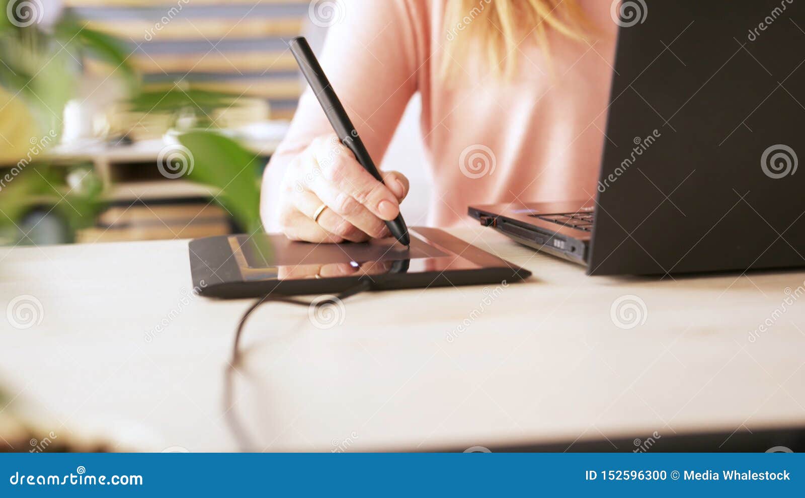 Close-up of Female Graphic Designer`s Hand Using Interactive Pen ...