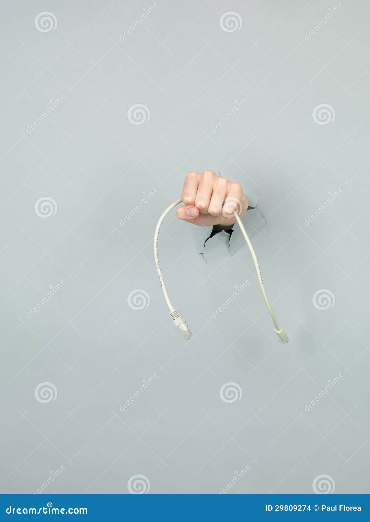 Female hand holding cable stock photo. Image of digital - 29809274