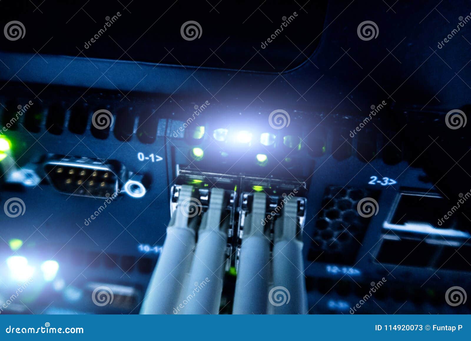 Close Up Fiber Optic Cable. Servers Racks Stock Image - Image of optics ...