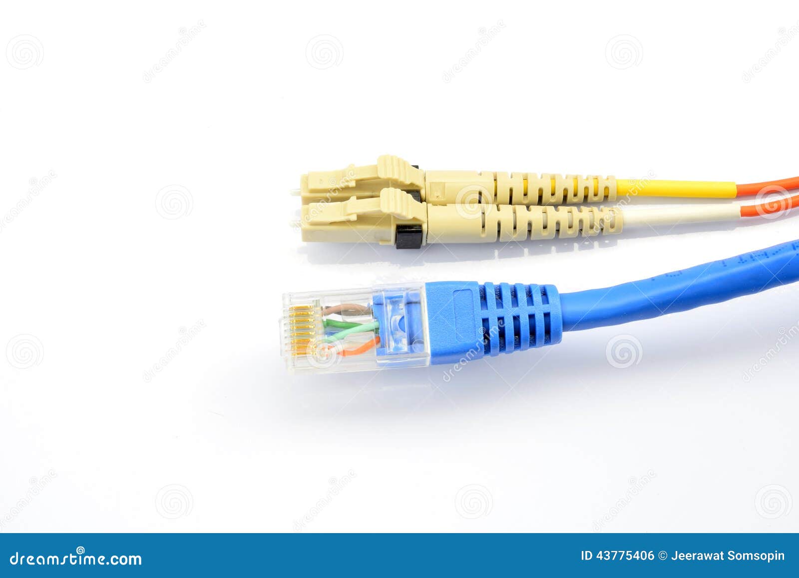 Close Up of a Fiber Optic Patchcord Head and UTP LAN Cable Head Stock ...