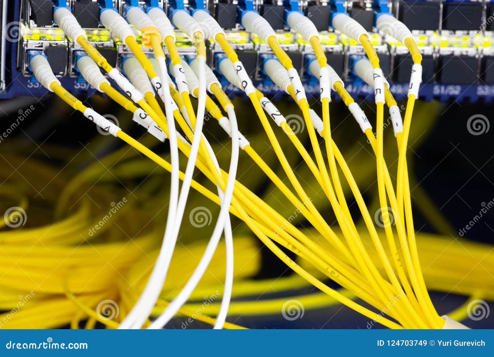 Close Up Fiber Optic in Server Room , Network Cables Installed in the ...