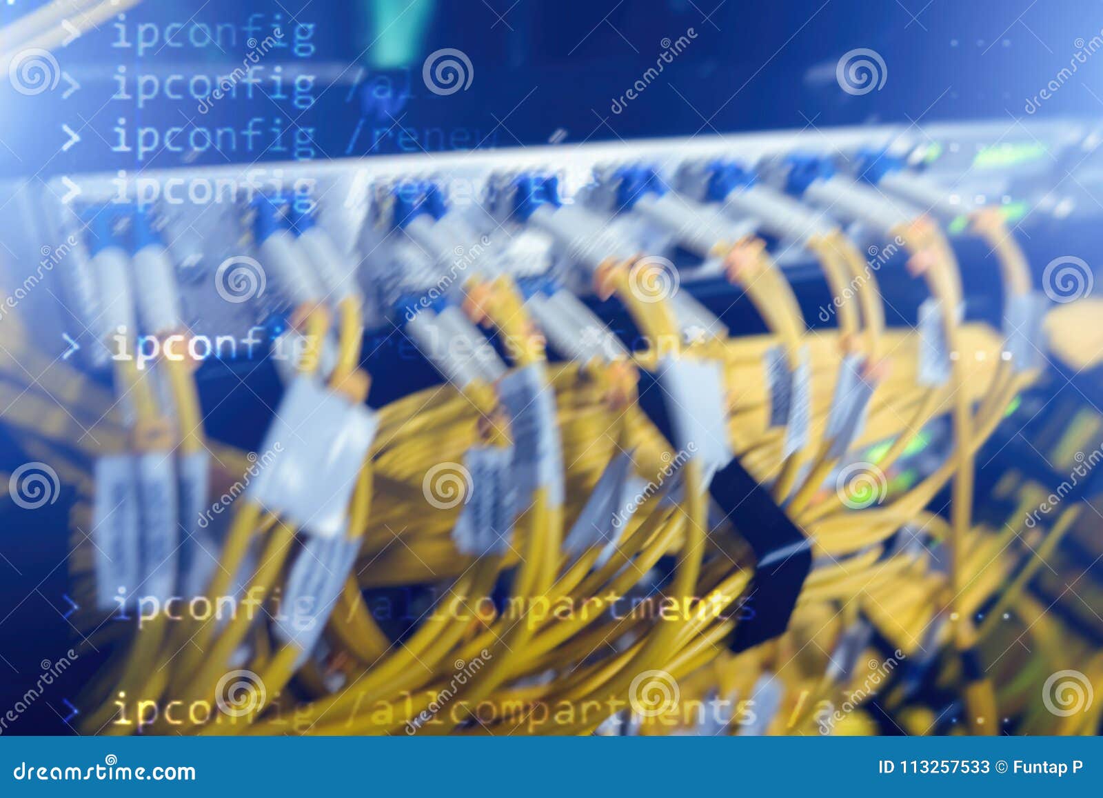Blue Optical Network Cables Stock Image - Image of networking, business ...