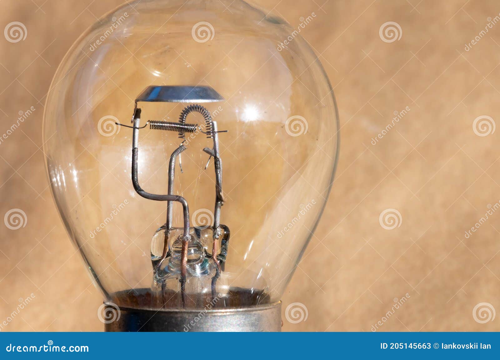 Close-up of Filament H4 Halogen Car Bulb. Stock Image - Image of ...