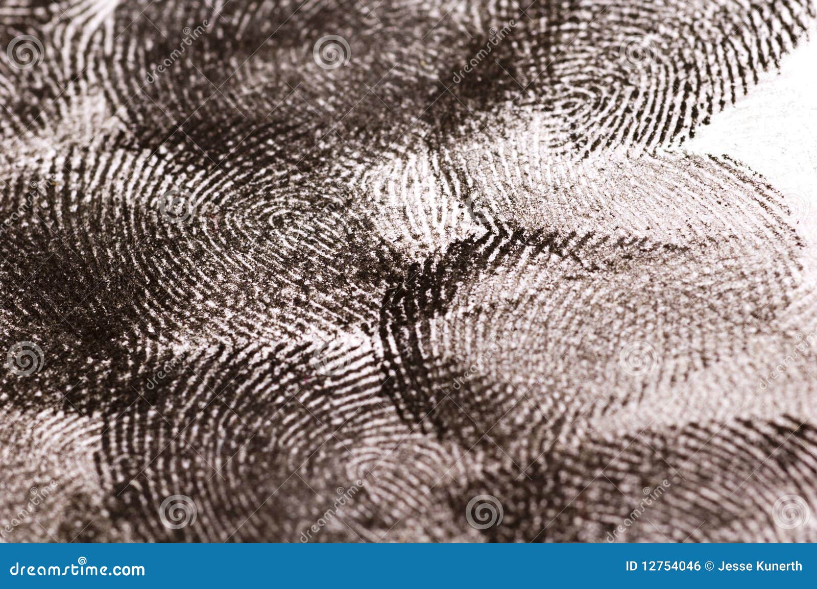Close up of Fingerprints stock photo. Image of details - 12754046