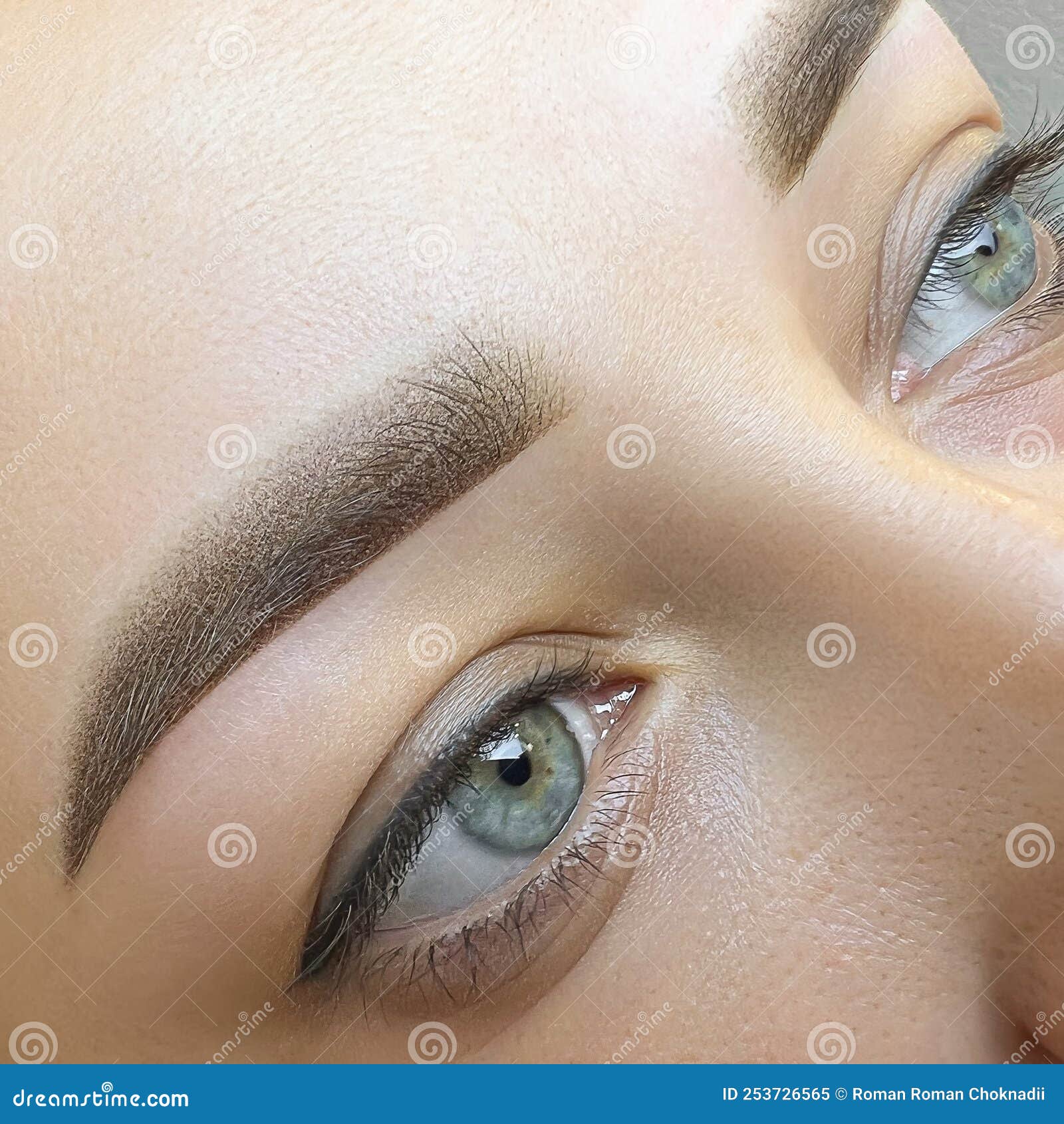 Close-up Finished Work Permanent Makeup Eyebrows Macro Photography ...